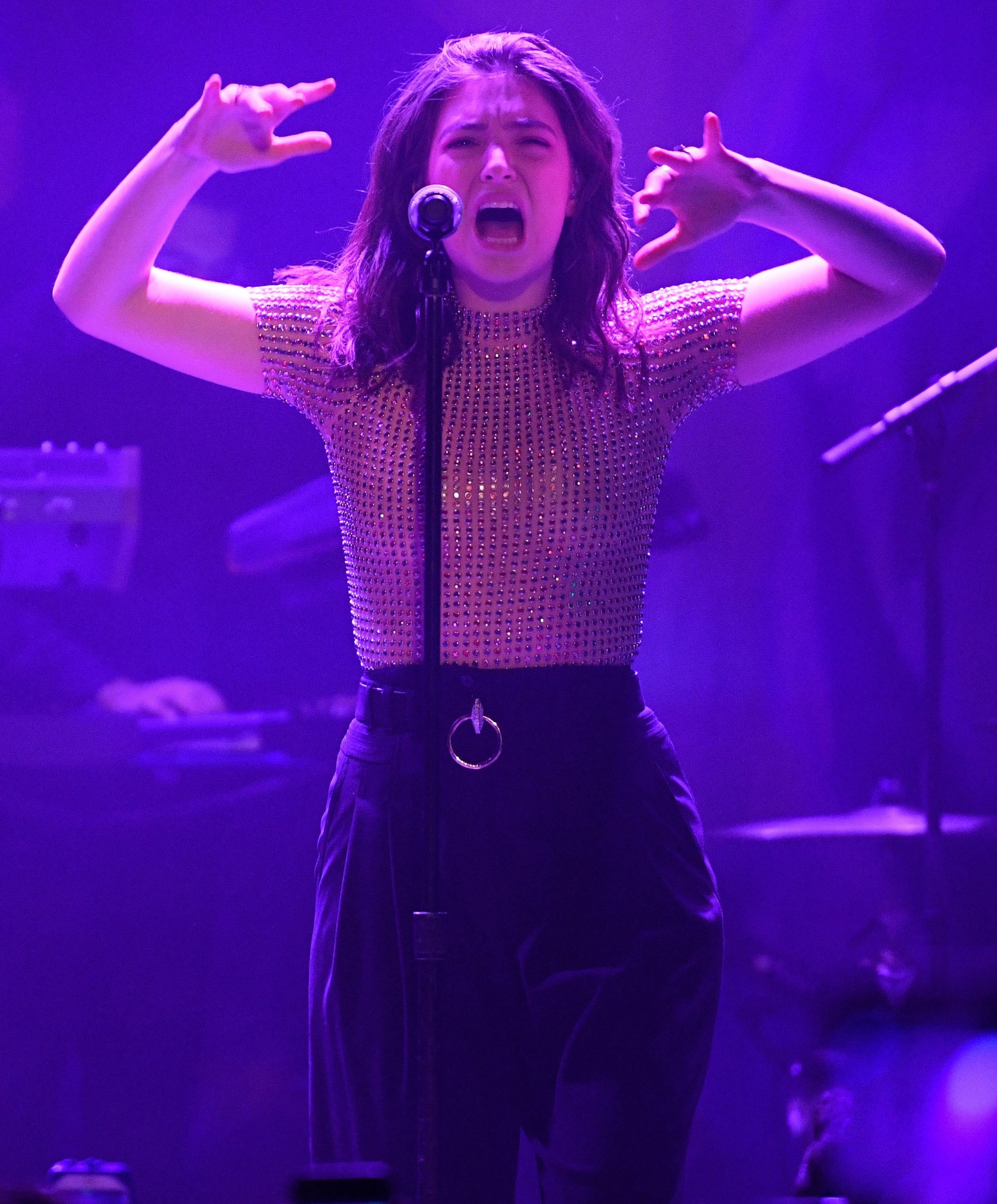Lorde on Stage - The Hollywood Gossip