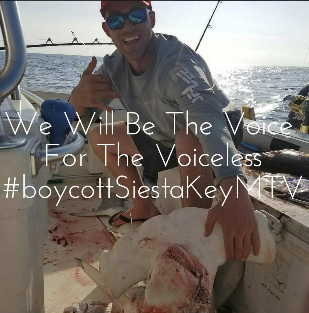 Siesta Key Star Accused of Animal Cruelty, Threatened with Death - The ...