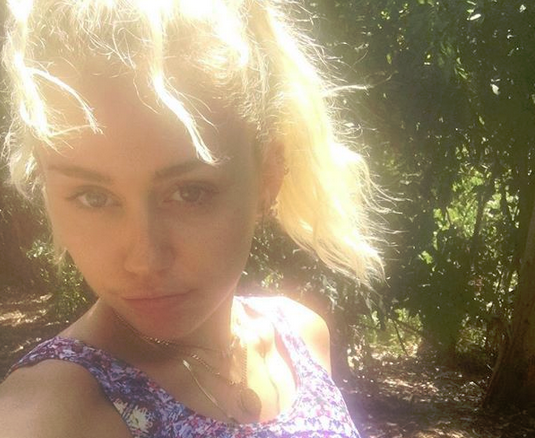 Miley Cyrus in Purple, Cropped - The Hollywood Gossip