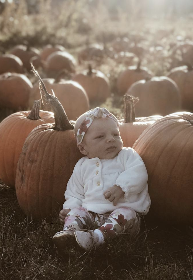 A Precious Pumpkin - The Hollywood Gossip