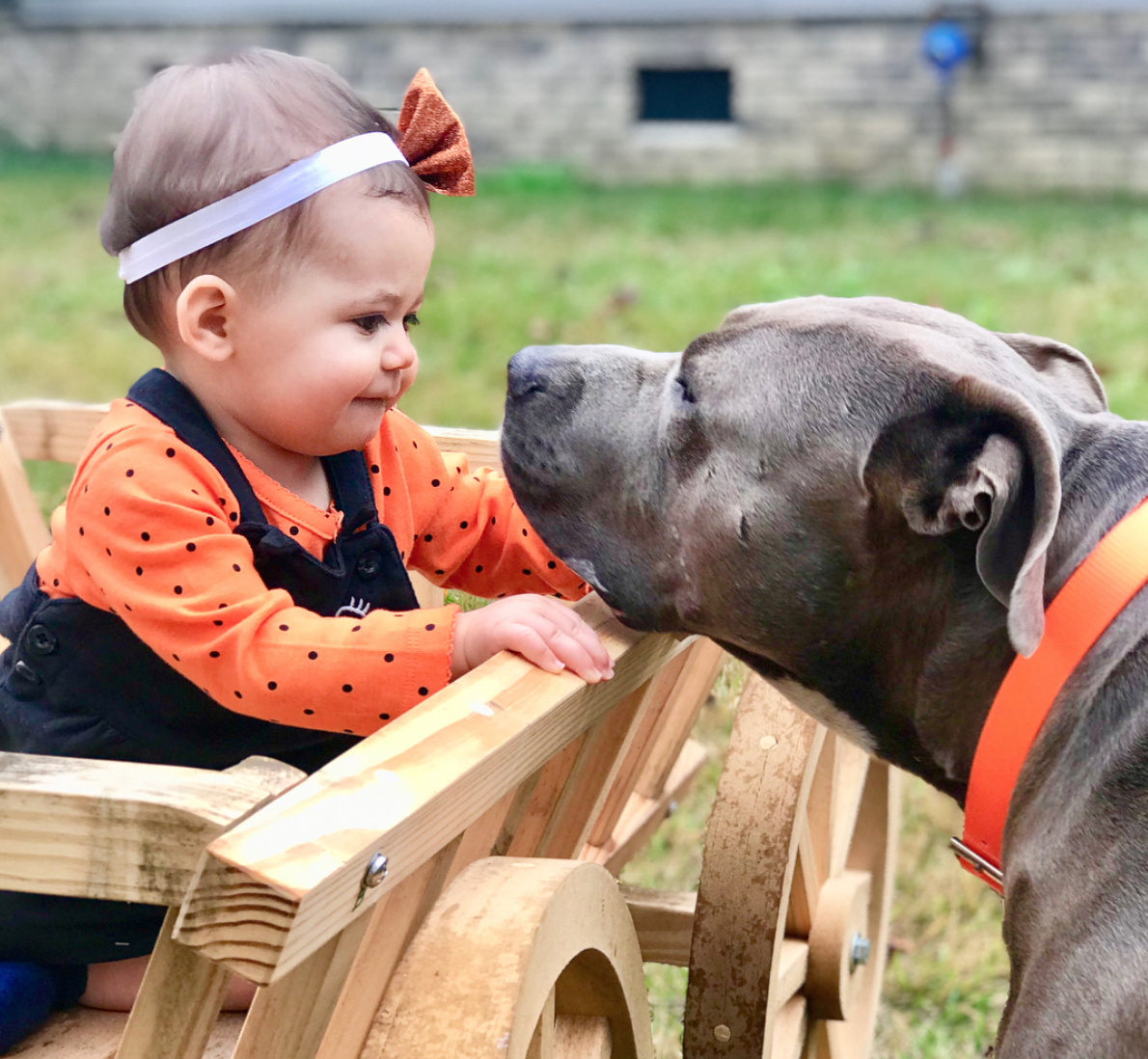Ensley Jolie Eason and Dog - The Hollywood Gossip