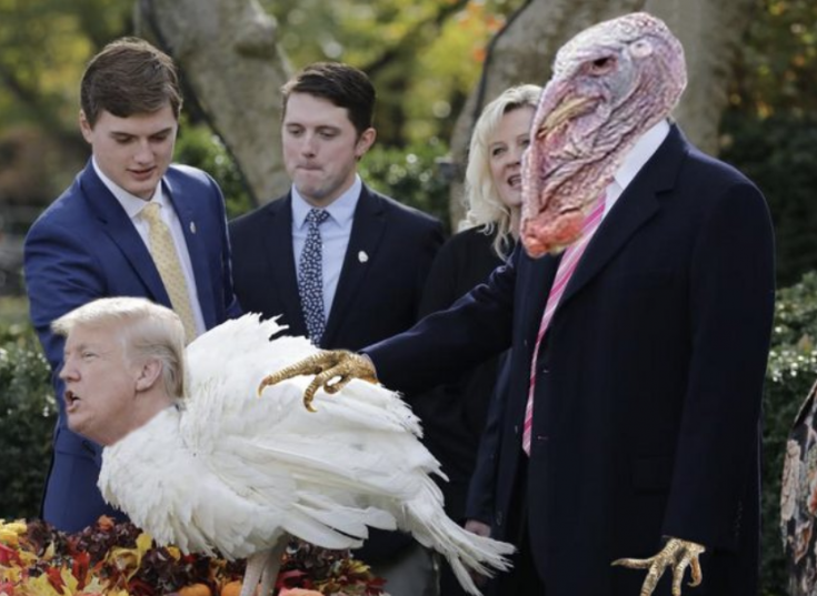 Donald Trump Pardons Turkey, Runs Afowl of the Internet - The Hollywood ...