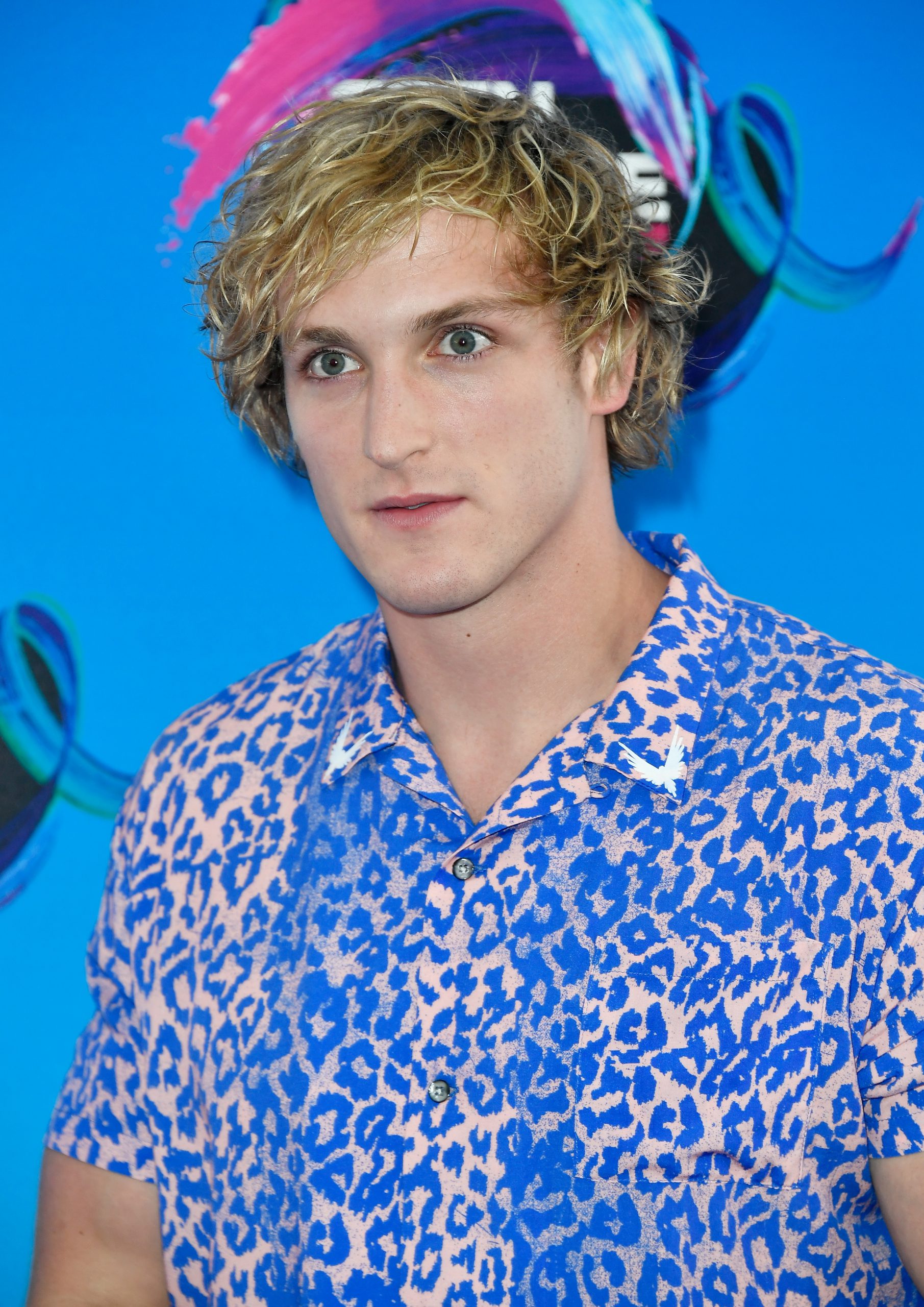 Logan Paul on the Red Carpet - The Hollywood Gossip