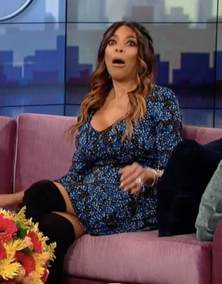 Wendy Williams Announces Illness, Leave of Absence - The Hollywood Gossip