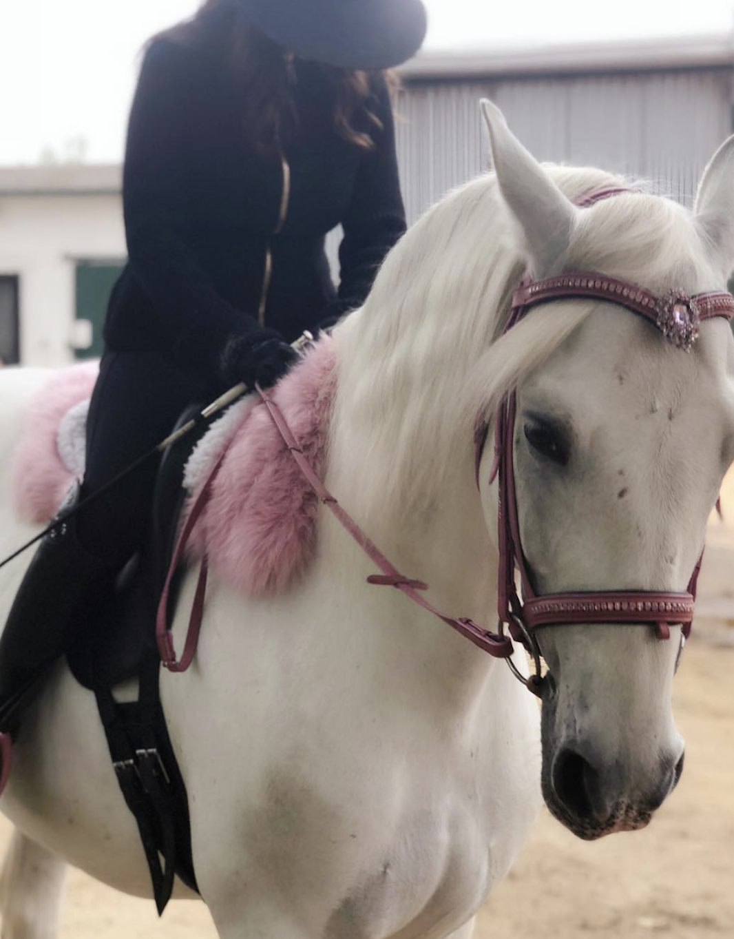 Lisa Vanderpump on a Horse - The Hollywood Gossip