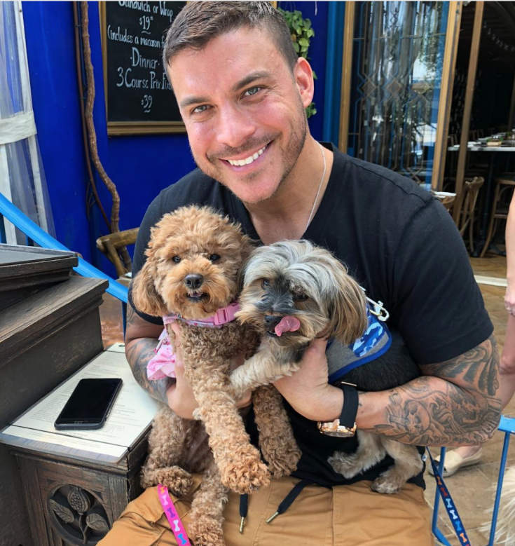Jax Taylor Swears He's Changed: Here's Why No One Believes Him - The ...