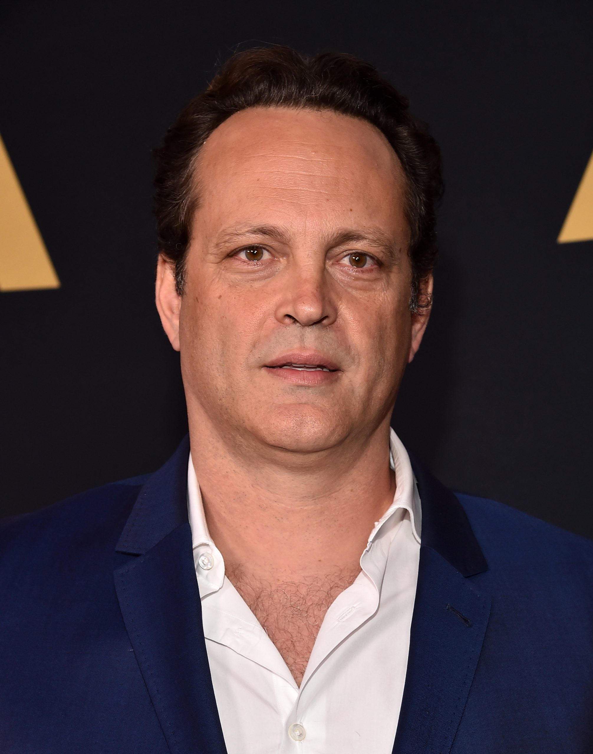 Vince Vaughn Image - The Hollywood Gossip
