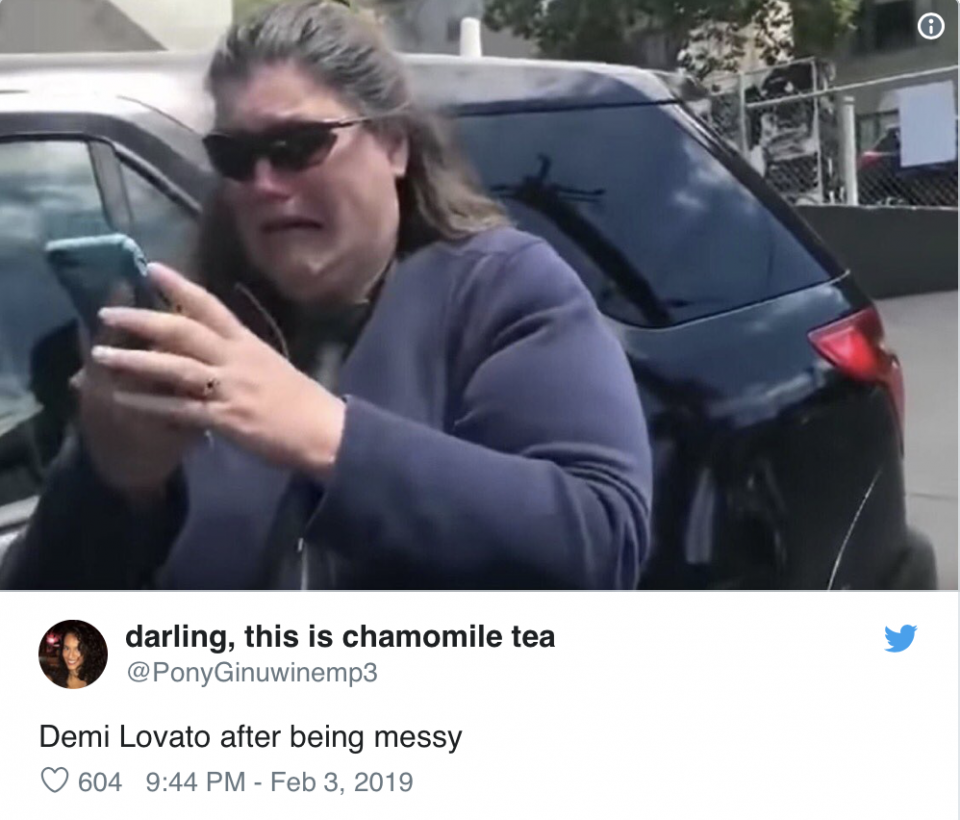 Demi Meme - The Hollywood Gossip