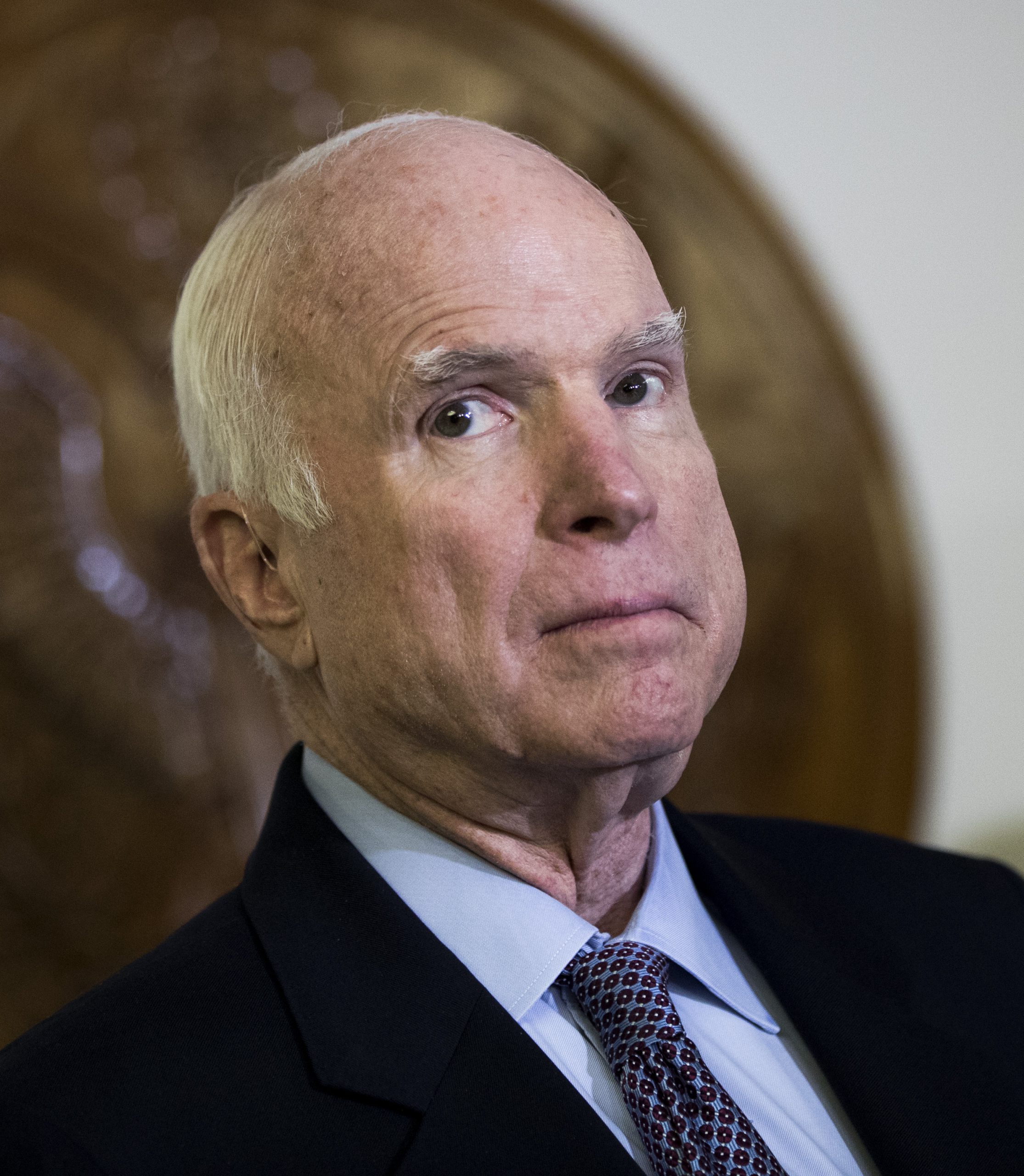 McCain - The Hollywood Gossip