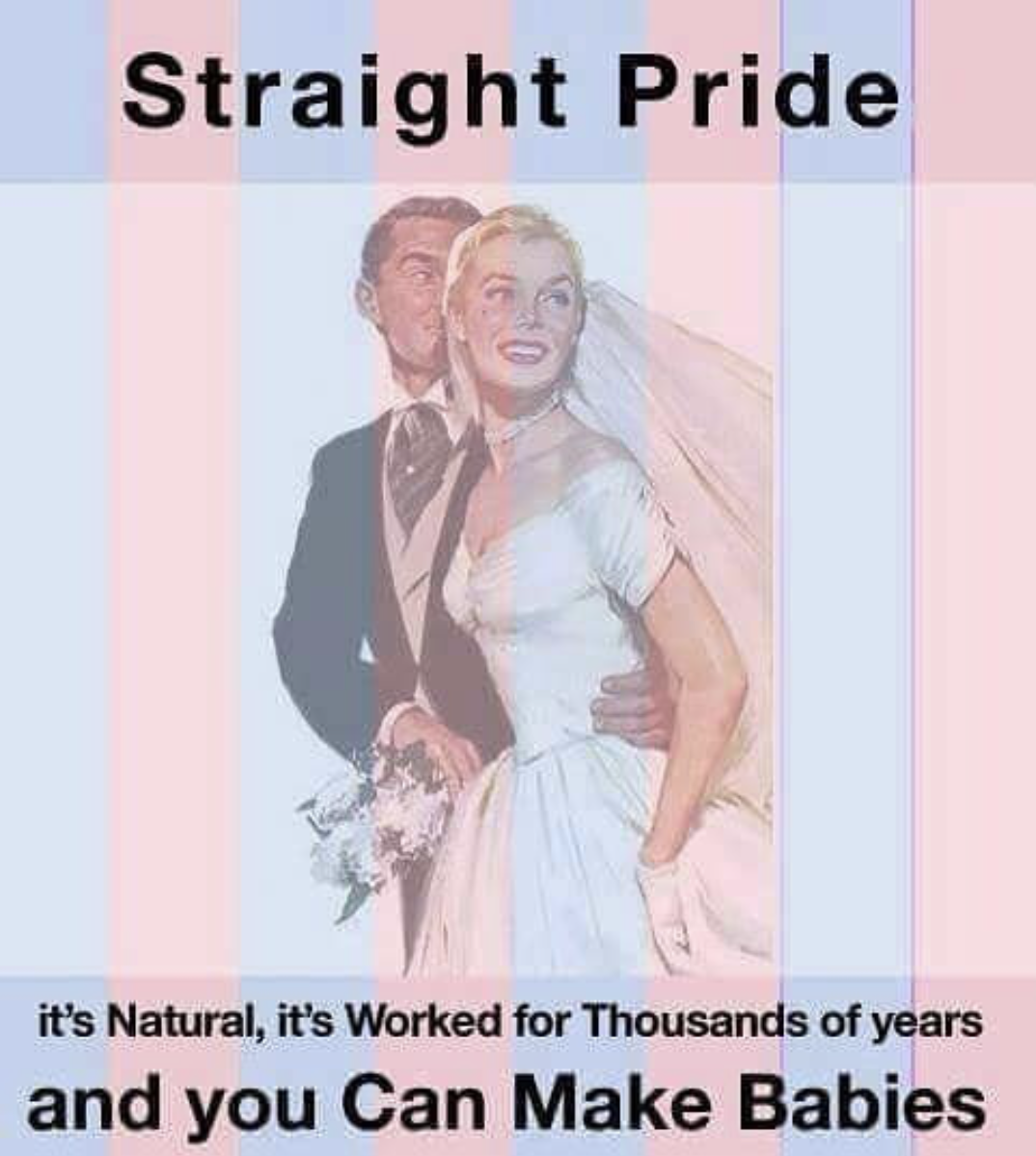 David Eason "Straight Pride" Meme - The Hollywood Gossip