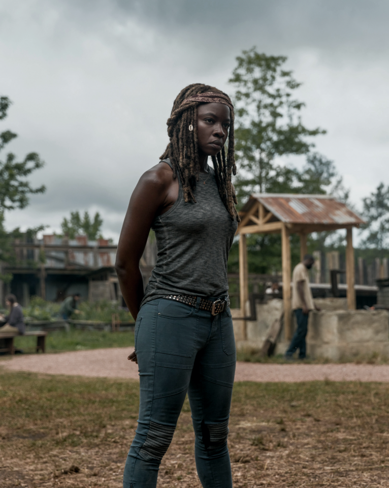 The Walking Dead Recap: Michonne Killed WHO?! - The Hollywood Gossip