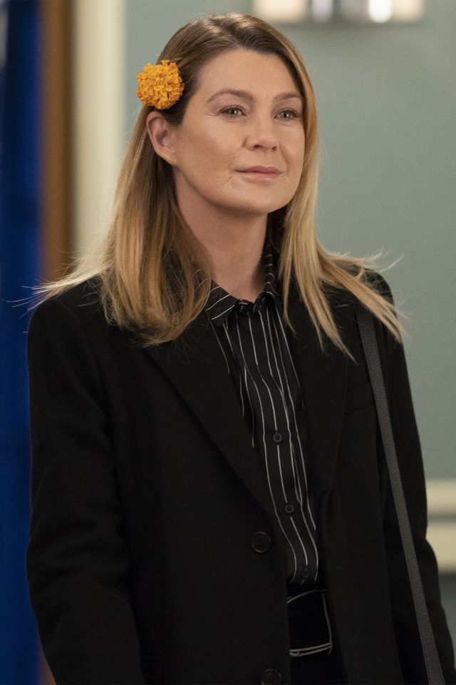 Grey's Anatomy Recap: Blowin' in the Wind