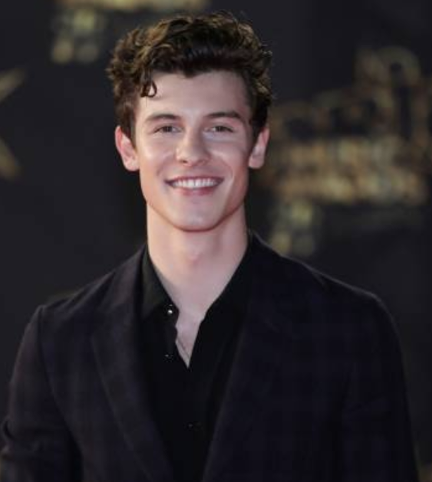 Shawn Mendes Snapshot - The Hollywood Gossip