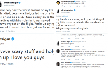 Bird Box Memes Hilariously Take Over Twitter - The Hollywood Gossip