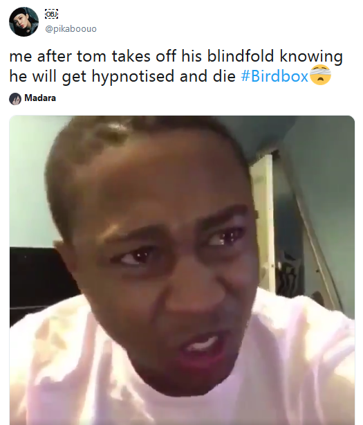 Bird Box Memes Hilariously Take Over Twitter - The Hollywood Gossip