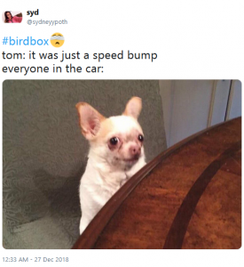 Bird Box Memes Hilariously Take Over Twitter - The Hollywood Gossip