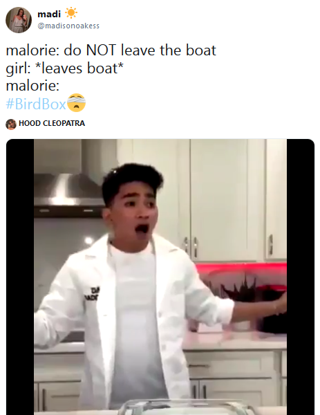 Bird Box Memes Hilariously Take Over Twitter - The Hollywood Gossip