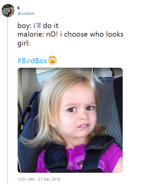 Bird Box Memes Hilariously Take Over Twitter - The Hollywood Gossip