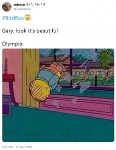 Bird Box Memes Hilariously Take Over Twitter - The Hollywood Gossip