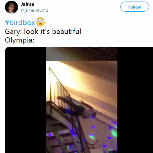 Bird Box Memes Hilariously Take Over Twitter - The Hollywood Gossip