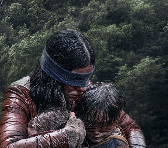 Bird Box Challenge: Netflix Begs Fans to STOP Dangerous Meme - The ...
