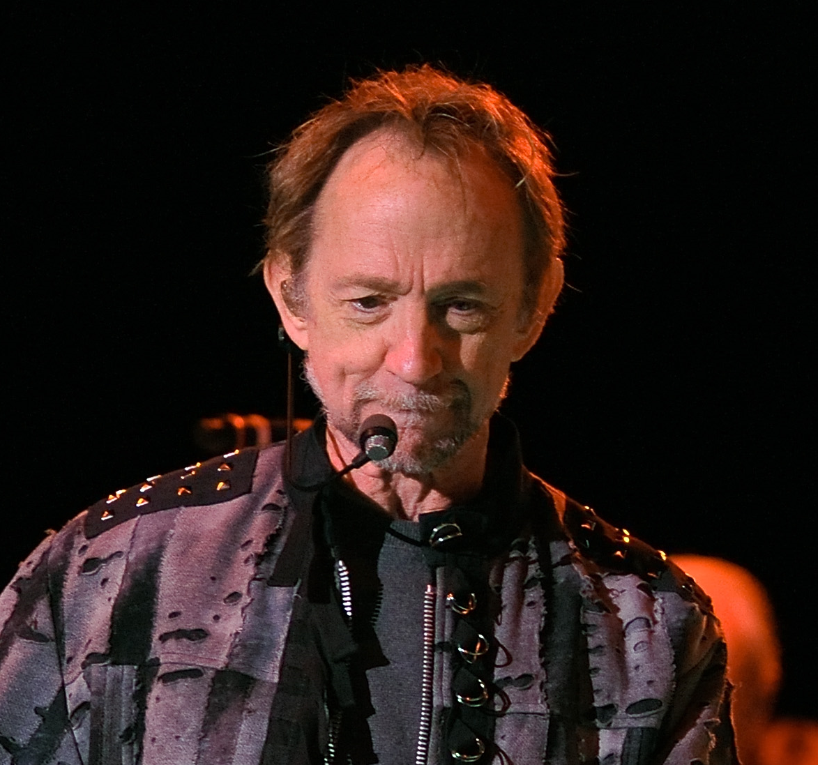 Peter Tork Picture - The Hollywood Gossip