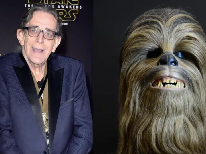 Peter Mayhew image - The Hollywood Gossip