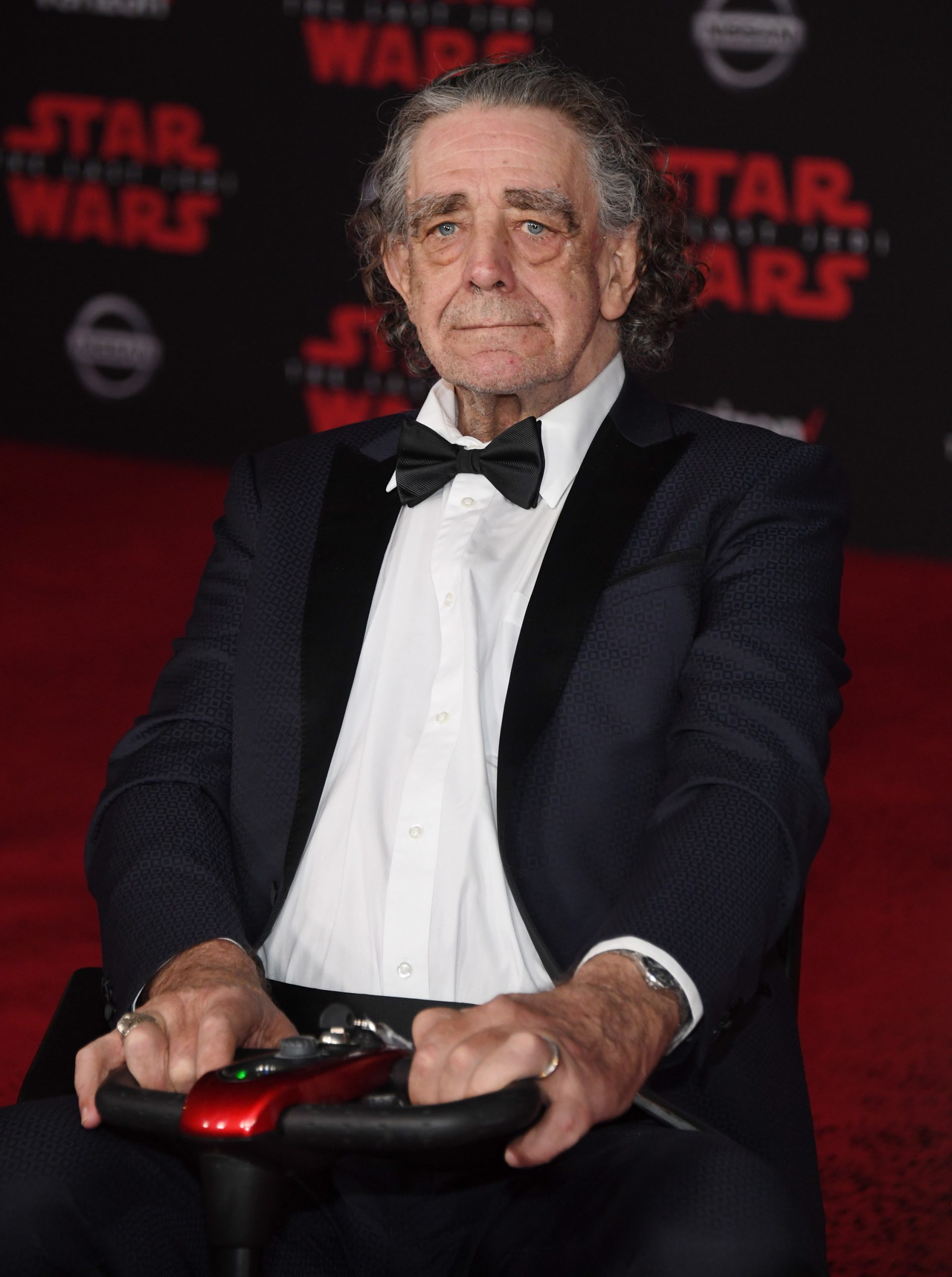 Peter Mayhew Photo - The Hollywood Gossip