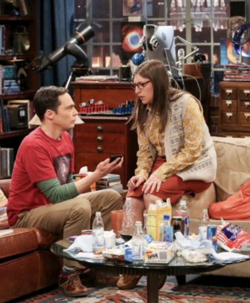 Sheld And Amy - The Hollywood Gossip