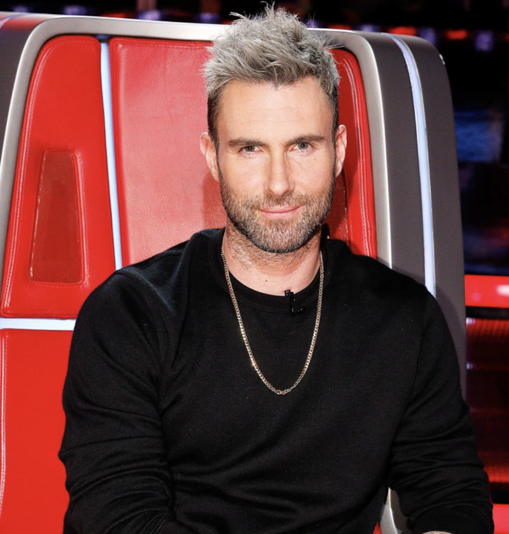 Adam Levine and Behati Prinsloo: First Photo as Newlyweds! - The ...