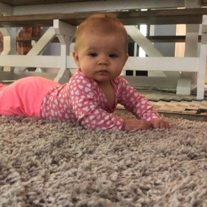 Vaeda Baltierra Is Crawling - The Hollywood Gossip