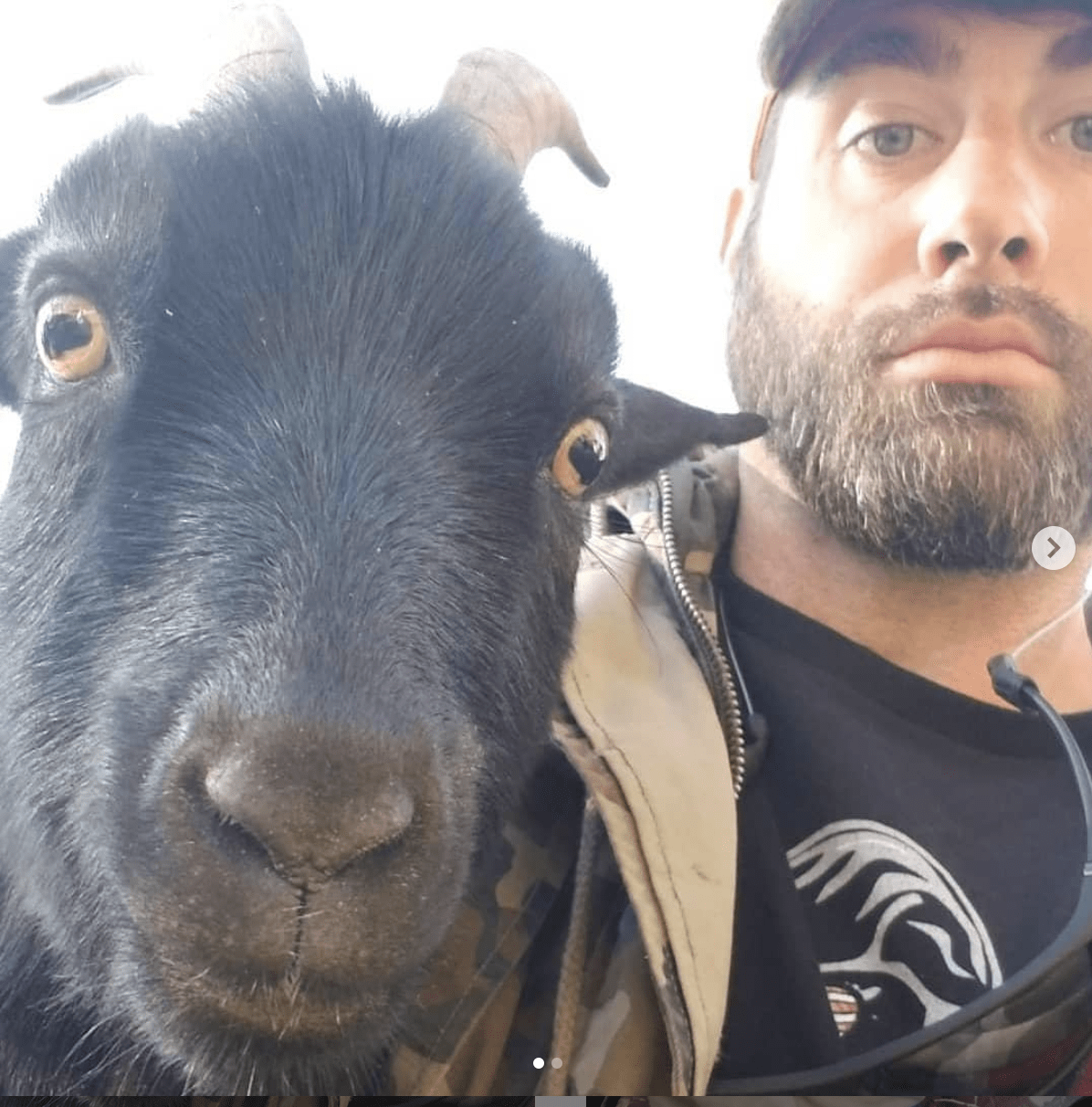 Eason and Goat - The Hollywood Gossip