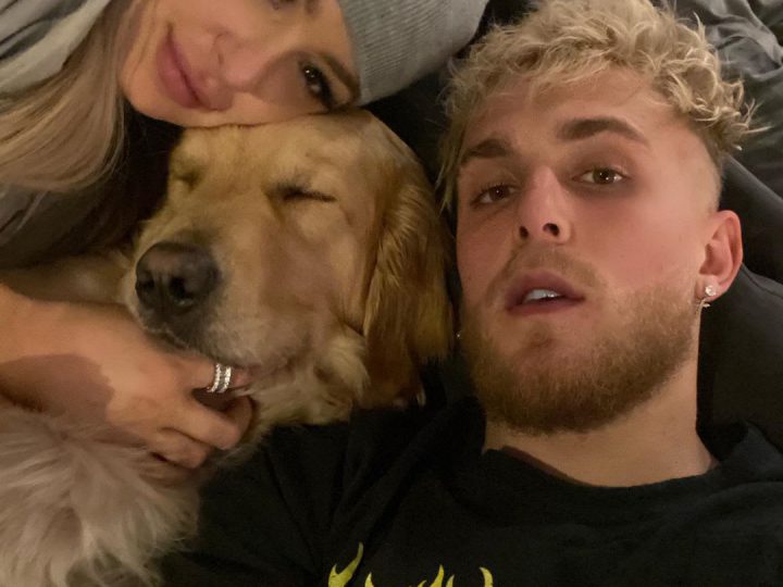 Cameron Diaz - The Hollywood Gossip