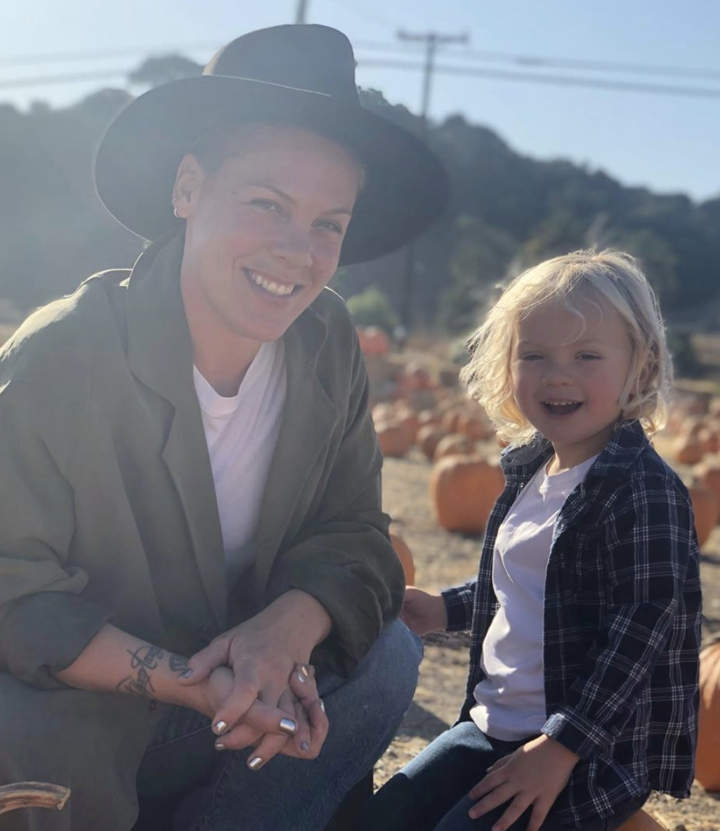 Pink Open Letter Defends Canceling Show, Tells Critics to "Kindly Kiss ...