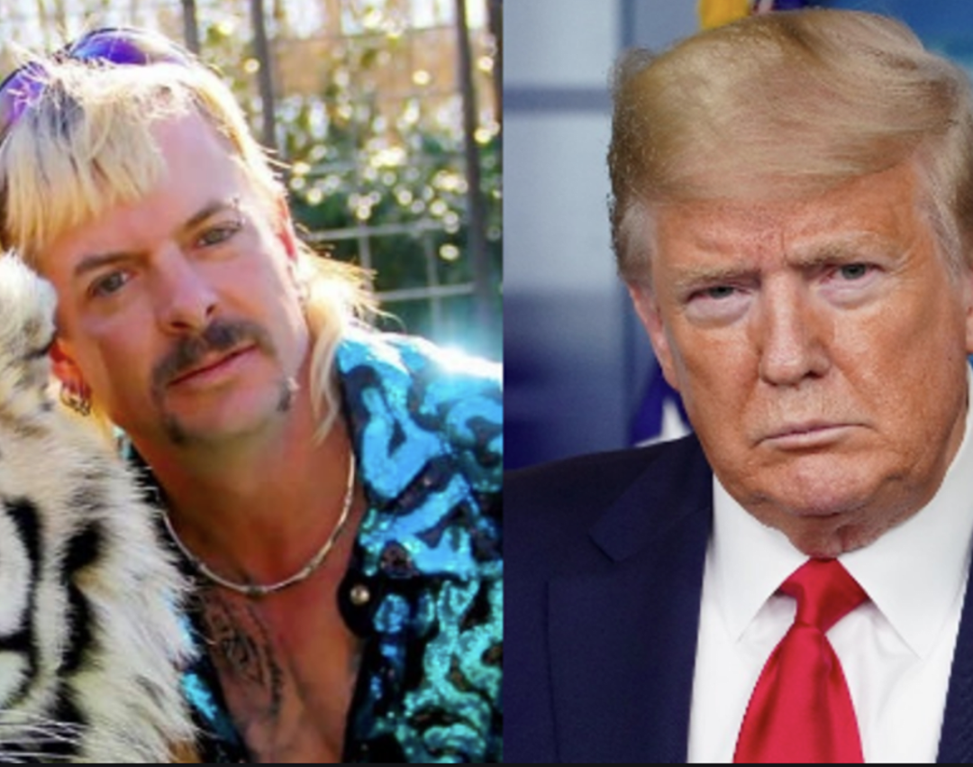 Donald Trump Pardons 143 People; Did Joe Exotic Make the Cut? - The ...
