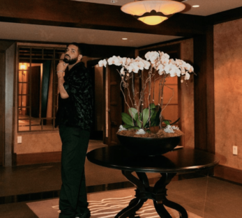 Drake Puts Hot Sauce In Condoms to Prevent Sperm Theft, Model Claims ...