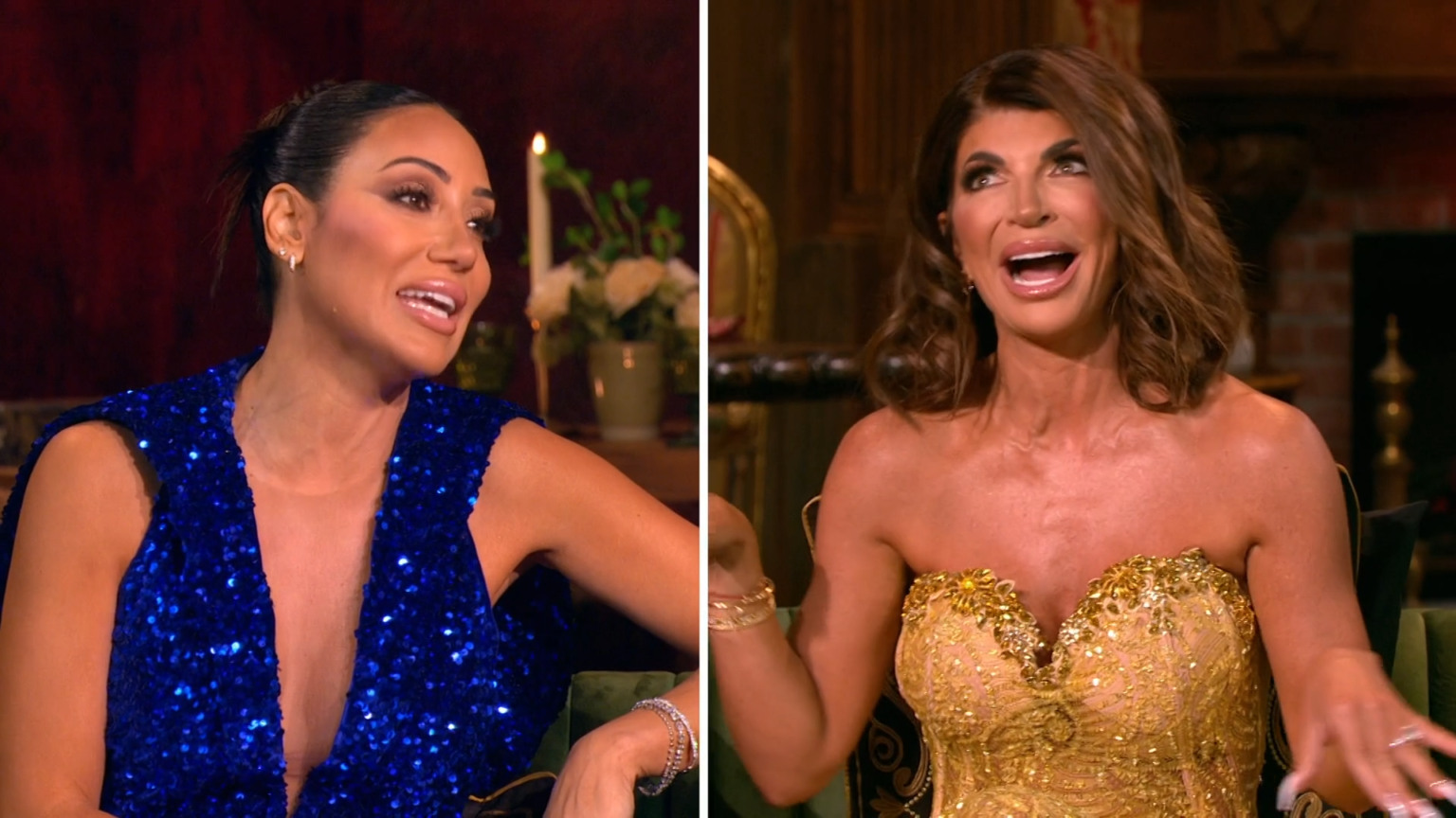Teresa Giudice and Melissa Gorga Attend Same Birthday Bash: Did They Annihilate Each Other?