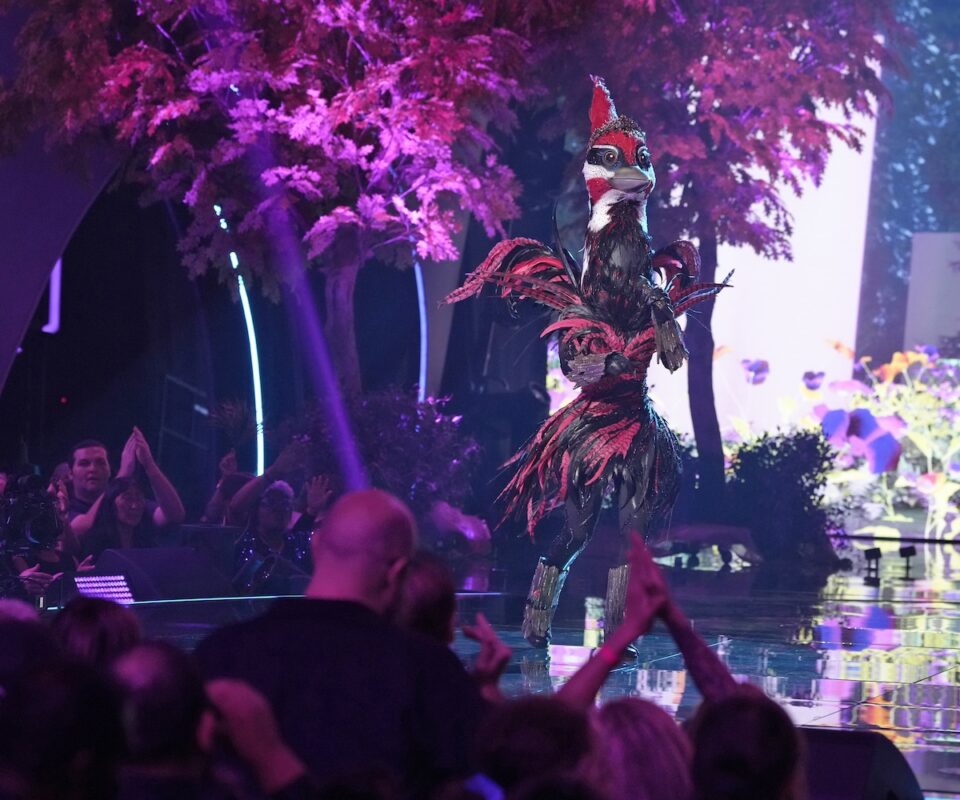 'The Masked Singer': Who Is Woodpecker?
