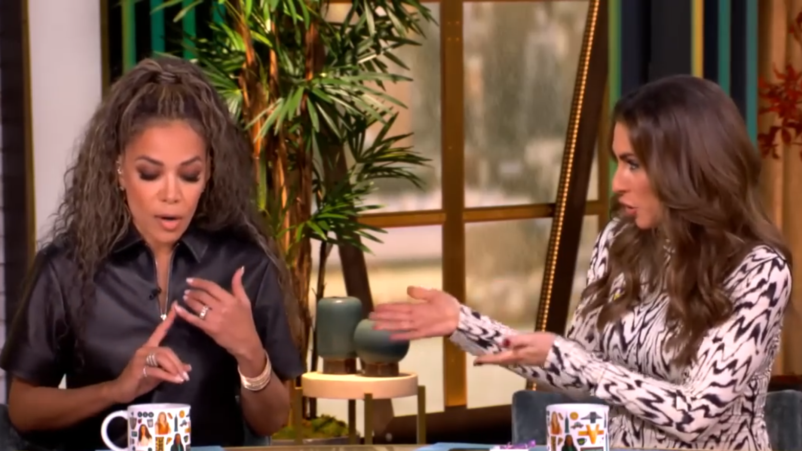 Whoopi Goldberg Breaks Up 'The View' Fight Between Co-Hosts