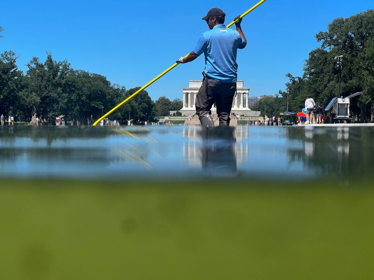 Antifa Algae? Trump Fans Spin Wild Reflecting Pool Theories